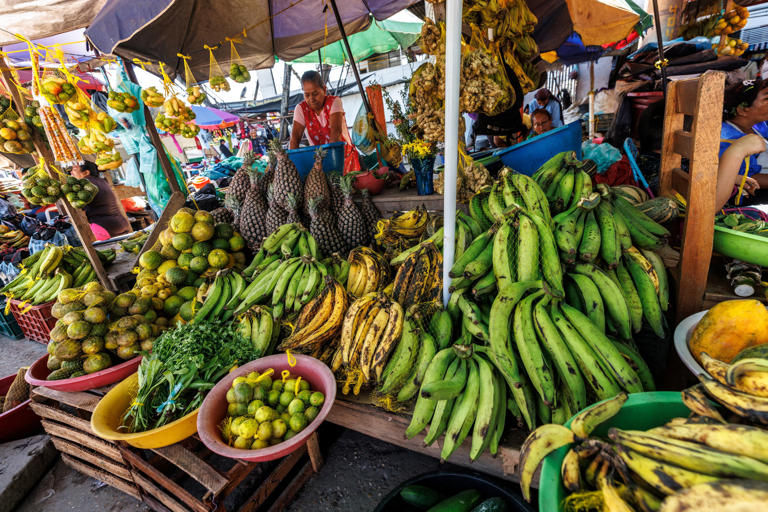 Colombia está en riesgo de quedarse sin acceso al río Amazonas: la ...