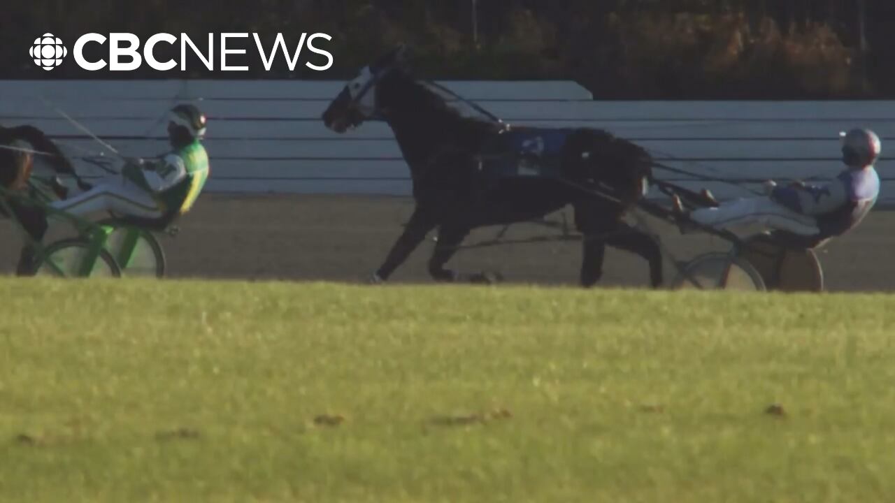 Fraser Downs closure shocks B.C. horse racing community