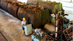 Jangan Terkecoh Harga Hijau! Ini Risiko Terbesar yang Mengintai ...