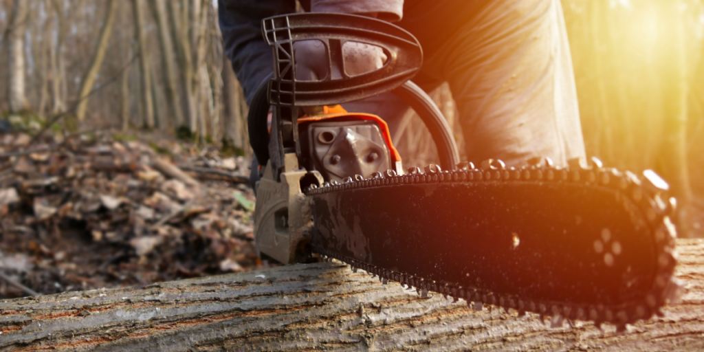 Chainsaws were not originally made for cutting down trees – it’s much ...