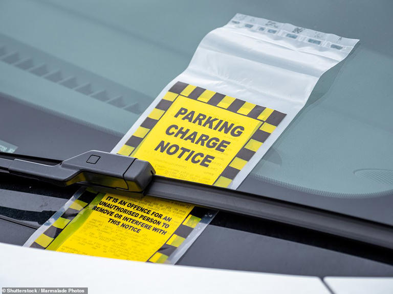 How to spot a fake parking ticket and avoid a costly scam