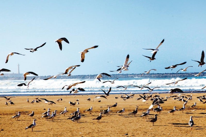 توقعات أحوال الطقس اليوم الاثنين