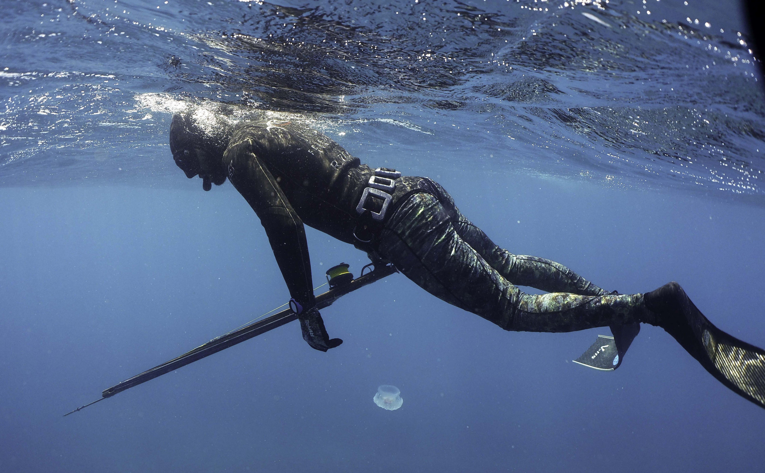 American tourist attacked by shark in the Bahamas