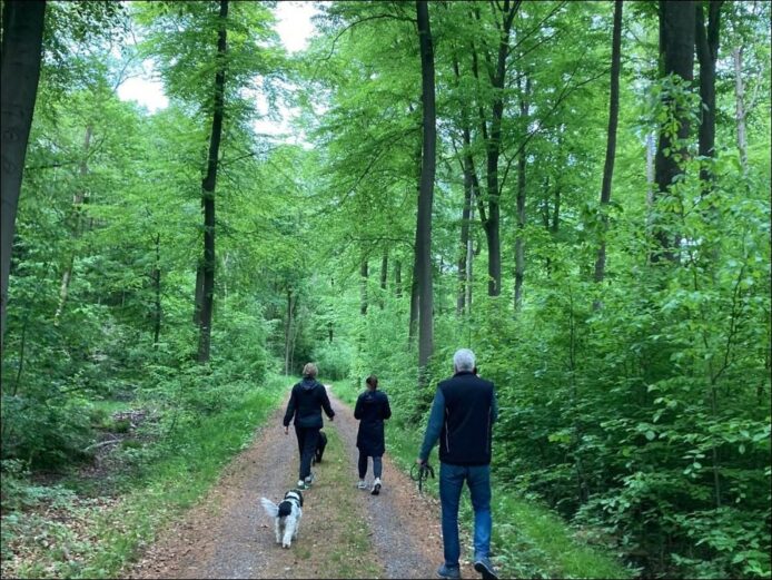 iPhone 800 米高空墜落完好無損 德國女子坐小型飛機遭強風吹走手機 森林中用 Find My 尋機成功