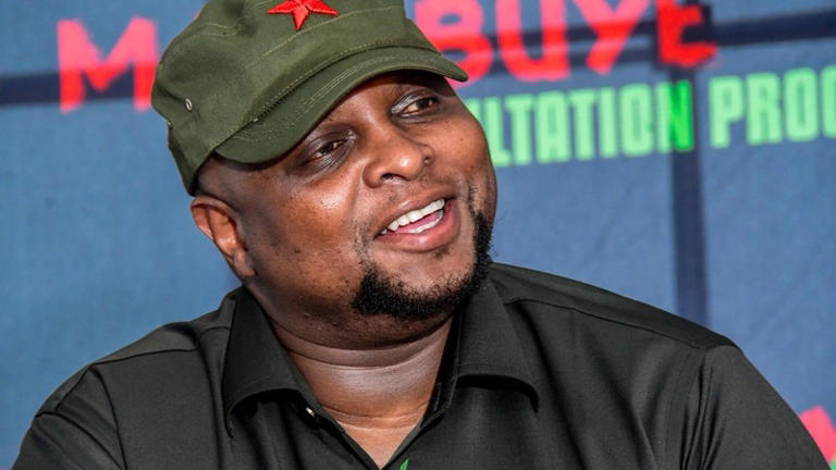 Shivambu: Mayibuye iAfrika will be bigger than ANC, EFF and MK Party