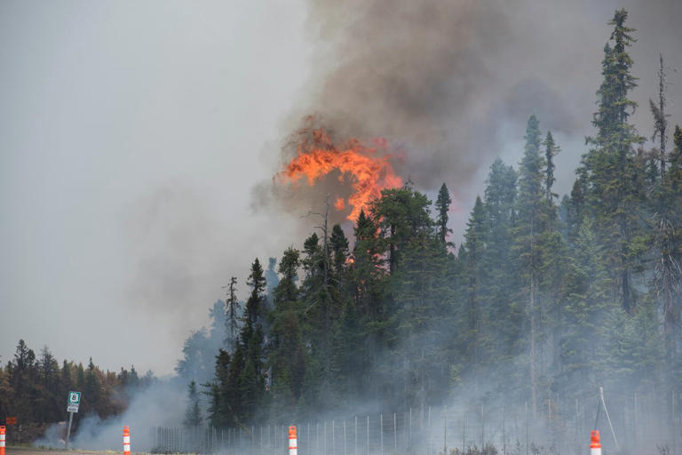 Summer fires in N.B. increasingly likely because of climate change