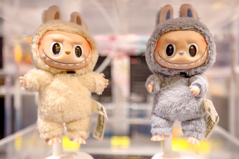 Fake Labubu raid as hundreds of toys seized from shops in Scottish ...