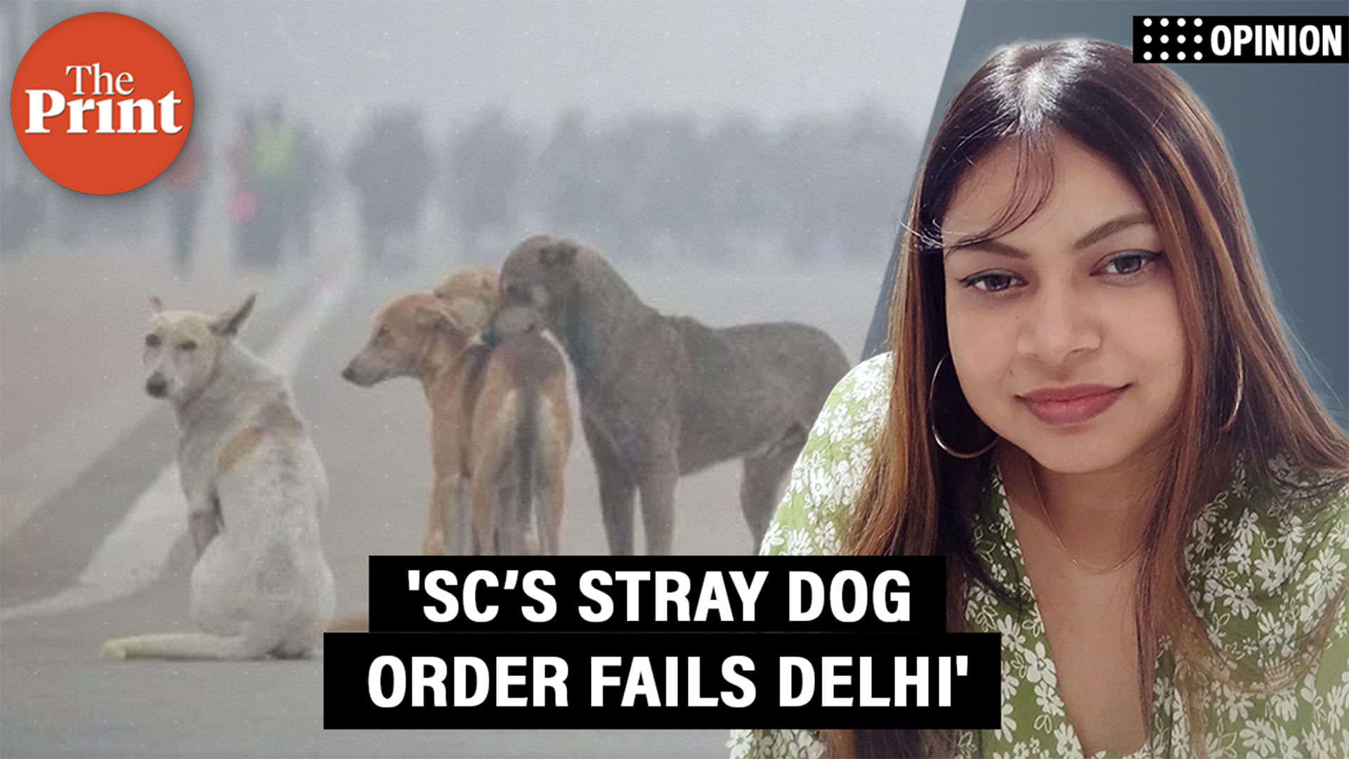 ‘SC’s stray dog order fails Delhi. Courtroom absolutes don’t solve bad ...