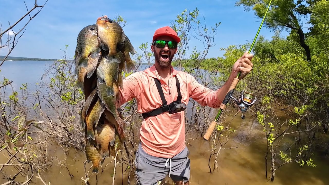 Flooded bushes full of huge gills end in disaster