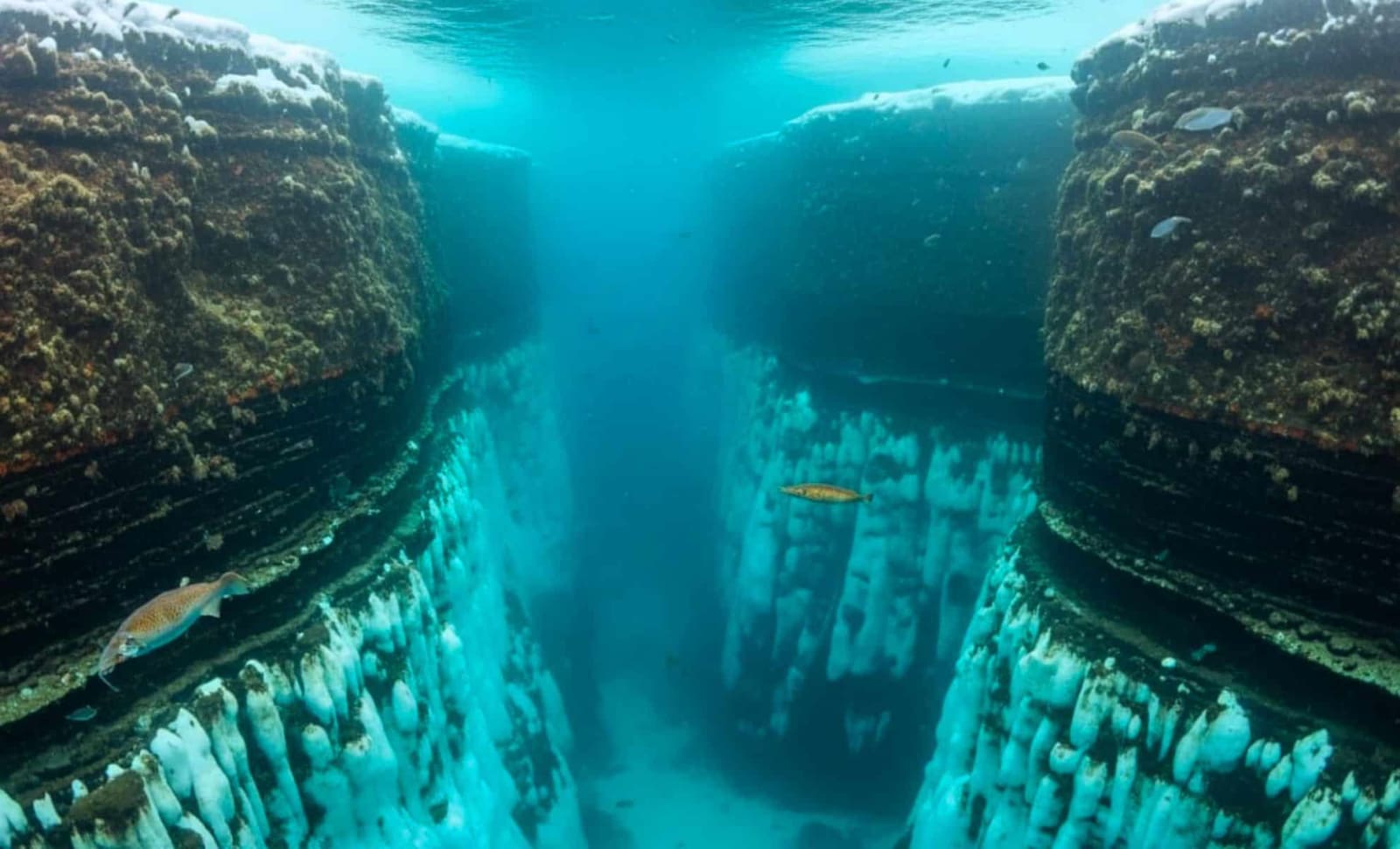 Under Antarctica’s Ice, Scientists Uncover a Hidden Network of Over 300 Giant Canyons With ...