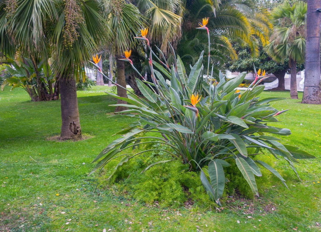 Outdoor Features That Commonly Lead to HOA Complaints