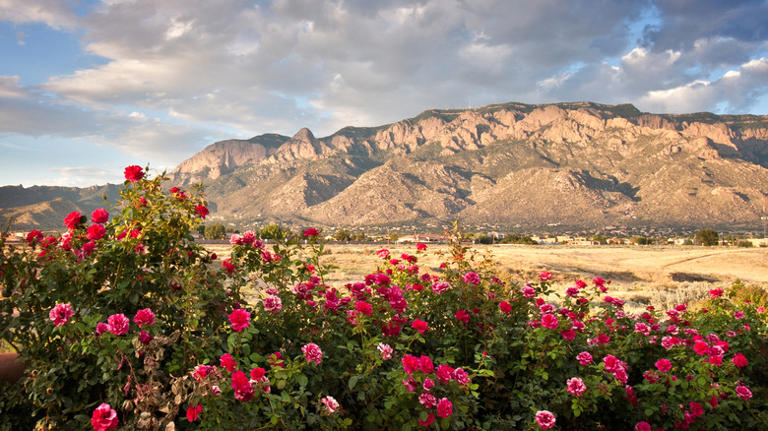 Albuquerque's High-Elevation Neighborhood Offers Desert Landscapes, New ...