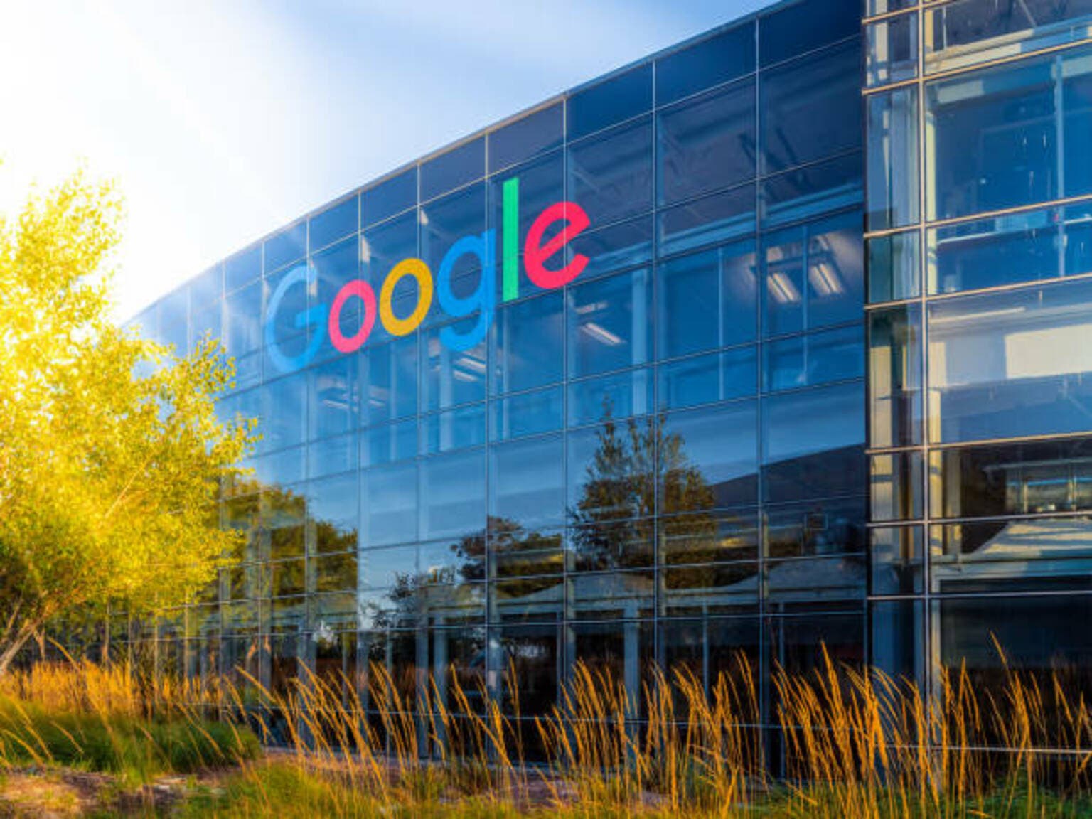 Google explores investments in AI, drone and server manufacturing in India