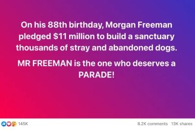 No, Morgan Freeman Didn’t Build an $11 Million Dog Sanctuary — But ...