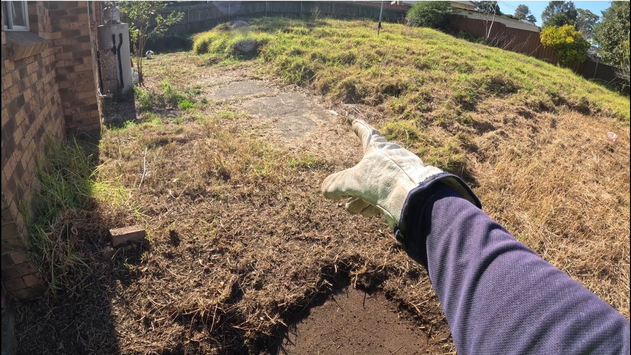 Unexpected Object Discovered Beneath Overgrown Grass During Routine ...