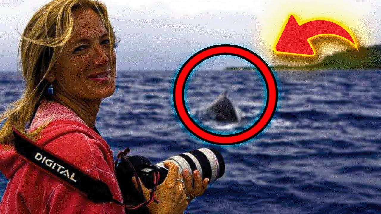 This Marine Biologist Swam with Humpback Whales When Something Went ...