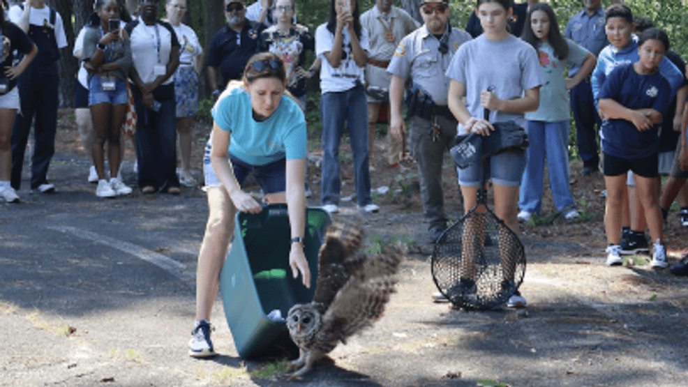 Owls soar again at release event at Lumbee Tribe Cultural Center