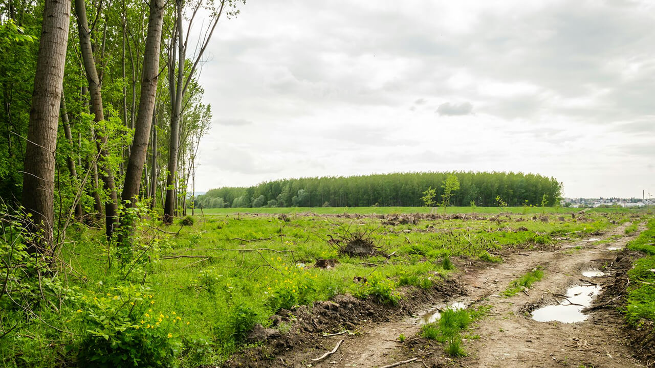 11 Hard Truths About Country Living That No One Warns You About