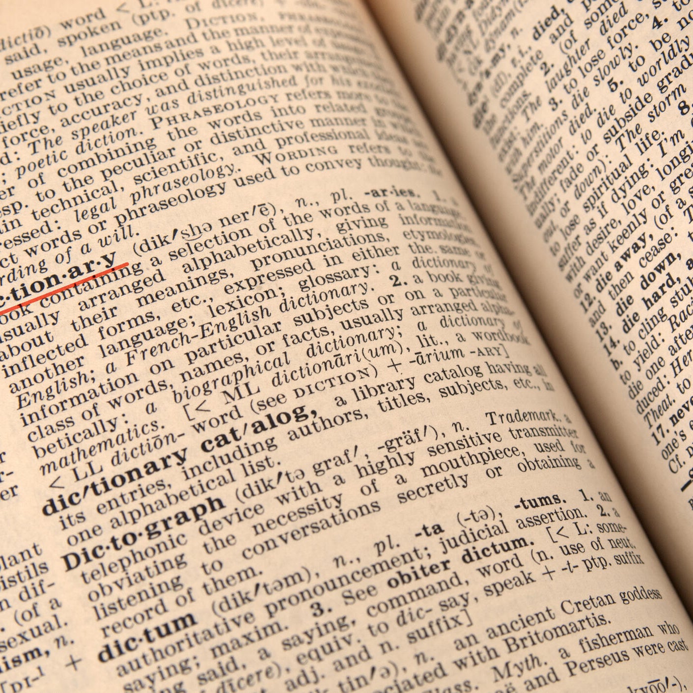 Cambridge Dictionary adds "skibidi," "delulu" and more words
