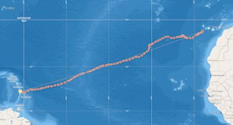 I Kayaked Across the Ocean Solo in My 40s. Here Are the Messy Details.