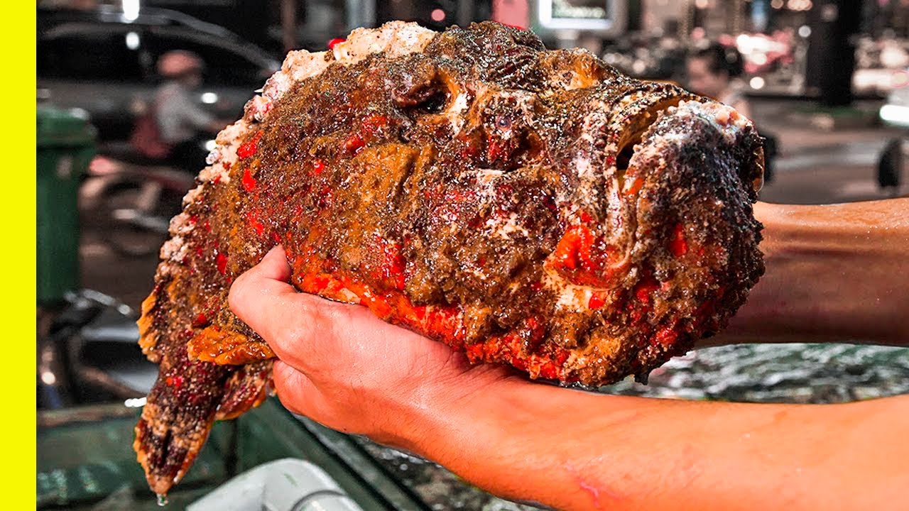 ¡Comiendo el PESCADO MAS VENENOSO de Asia! ¡Pescado de 4$ VS Pescado de ...