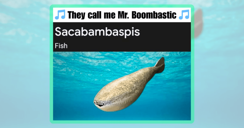23 Aquatic Animal Memes to Wash Away Your Monday Blues
