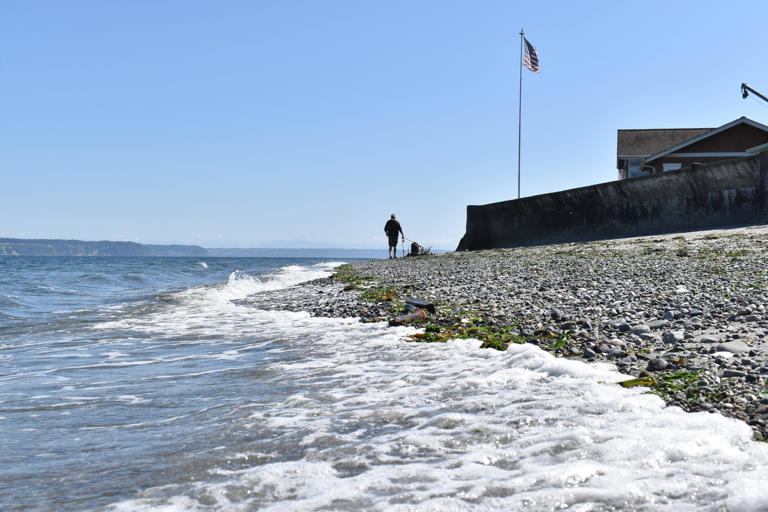 Kitsap County plans next phase to fix Point No Point beach