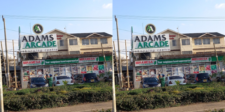 How a Businessman Built Adams Arcade From 9 Shops