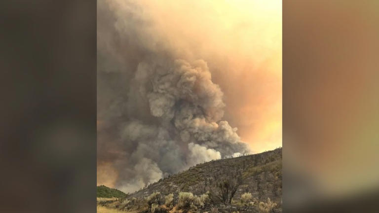 Lee Fire 60% contained as size nears 4th largest wildfire in Colorado ...