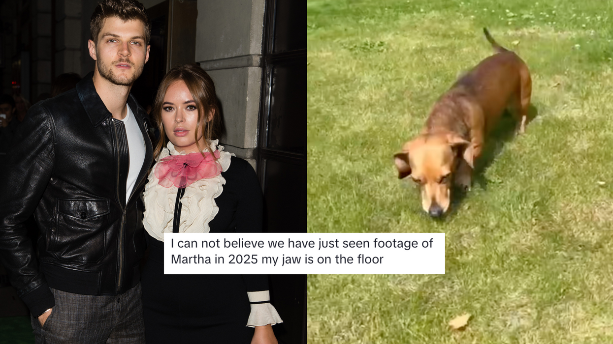The internet finally has answers on what happened to Jim Chapman and ...