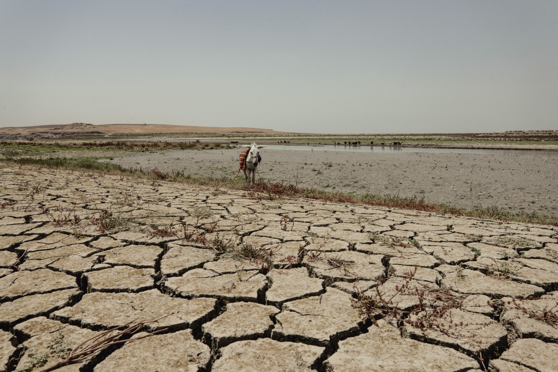 The global water crisis is coming, but some countries are already facing it