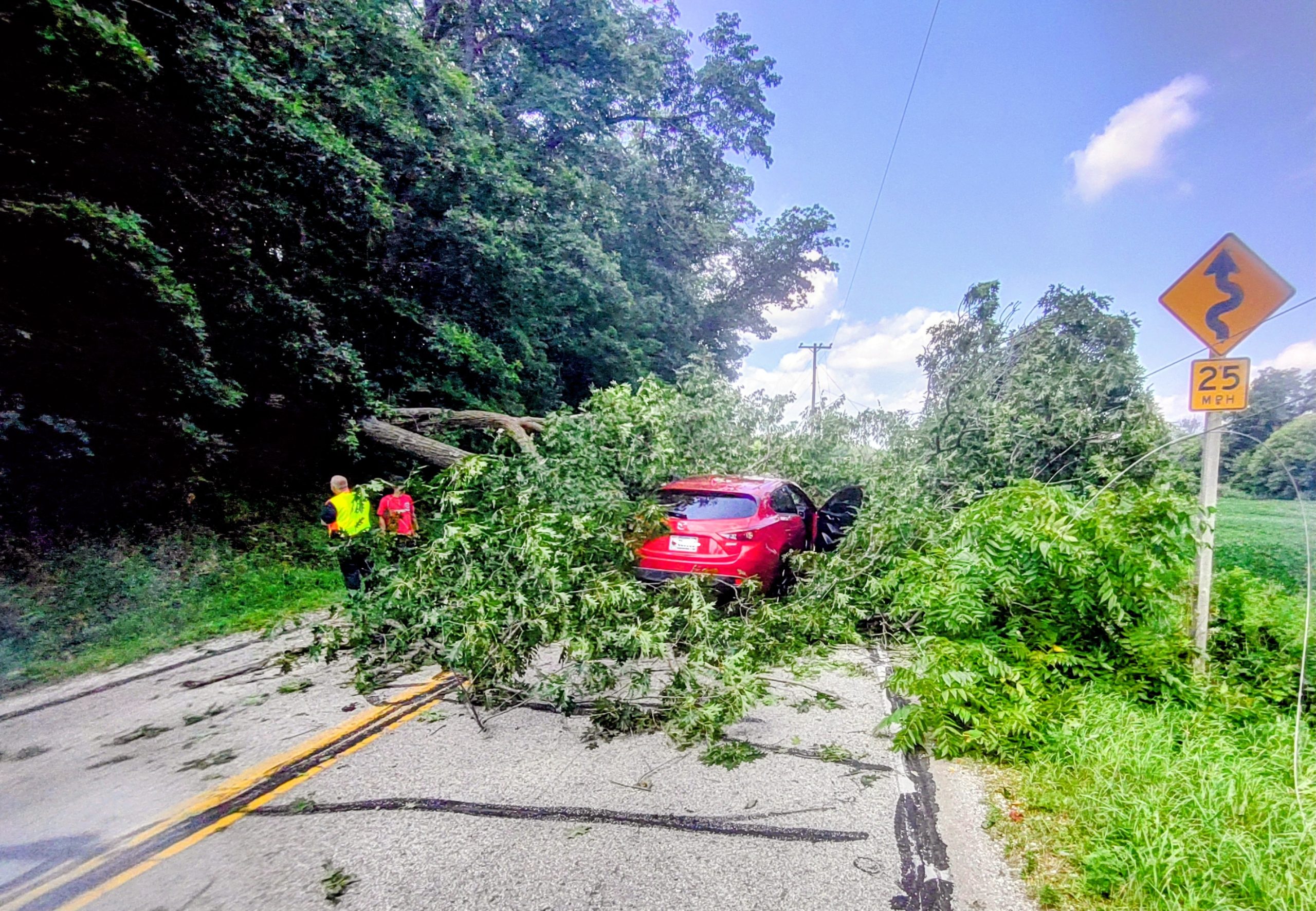 Tree crash accident: 1 incredible escape after power lines fall in ...