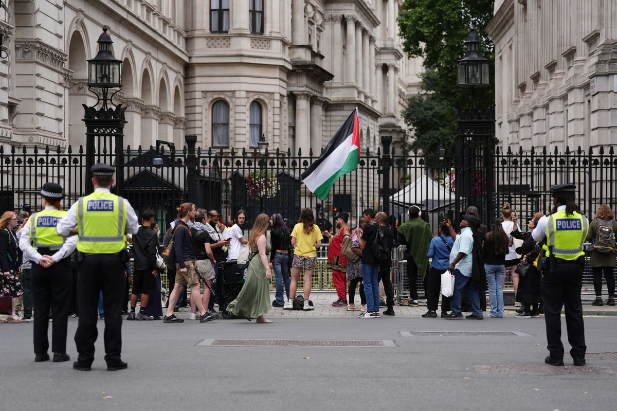 Pro-Palestine activist in court after 'banging pots and pans outside ...