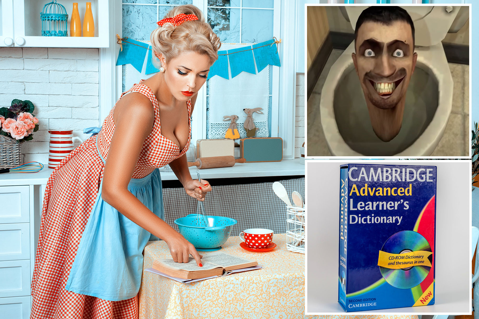 Cambridge Dictionary ripped for adding nonsense slang term ‘skibidi’ to ...