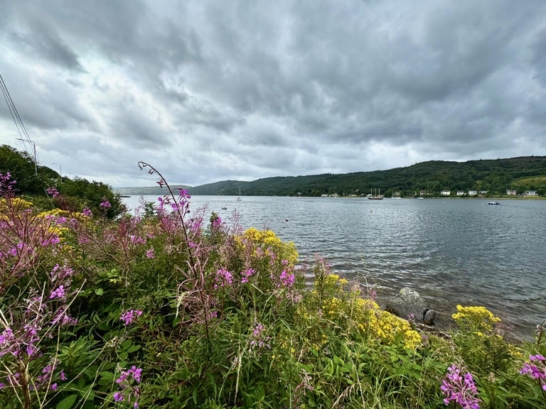 Readers Gallery August 2025: A selection of beautiful pictures from ...