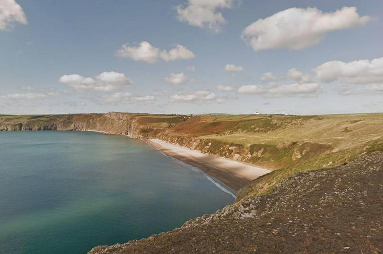 Remote beach with golden sands, clear waters, and wildlife is hard to ...