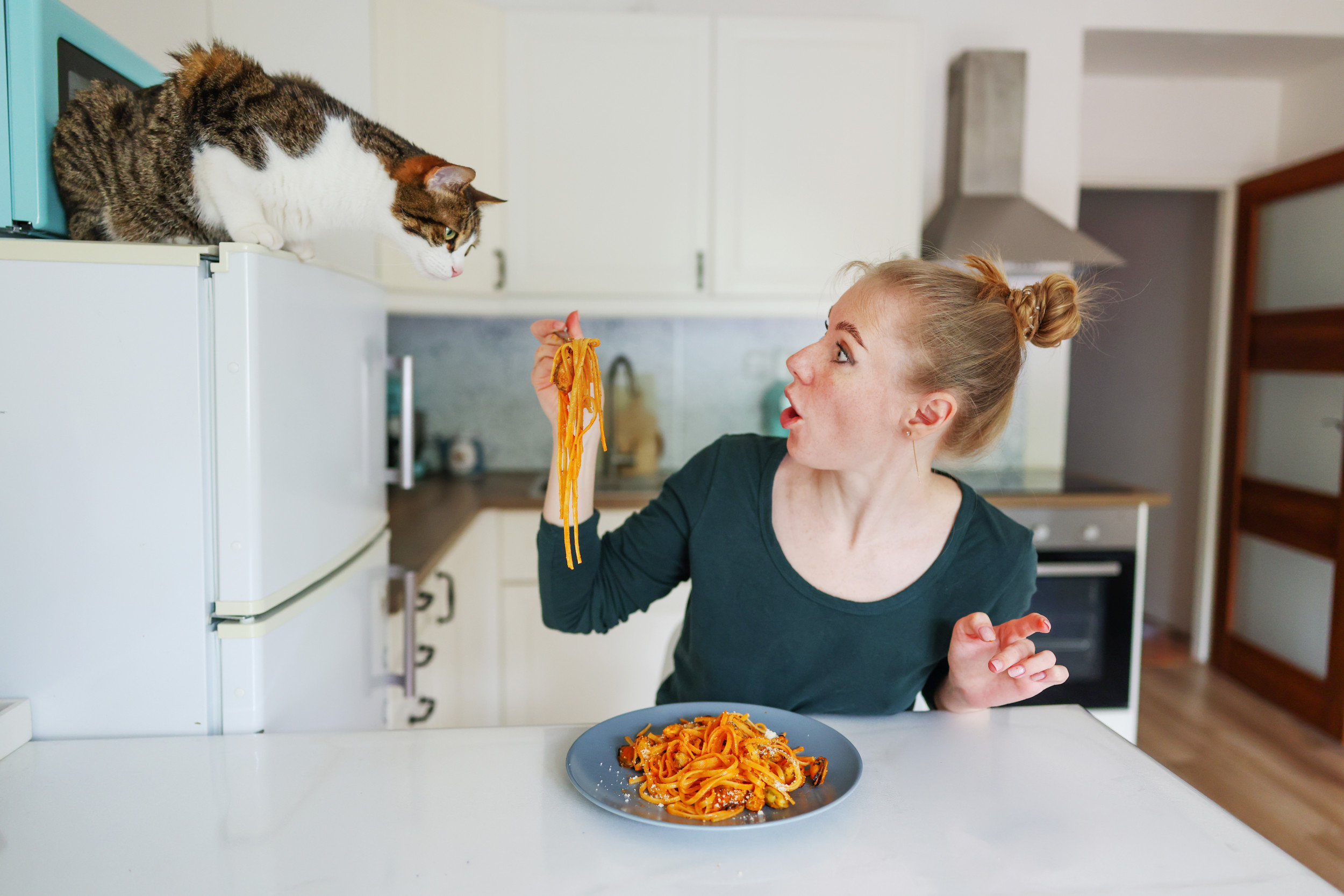 Aftermath of leaving spaghetti and meatballs unattended near cat goes viral