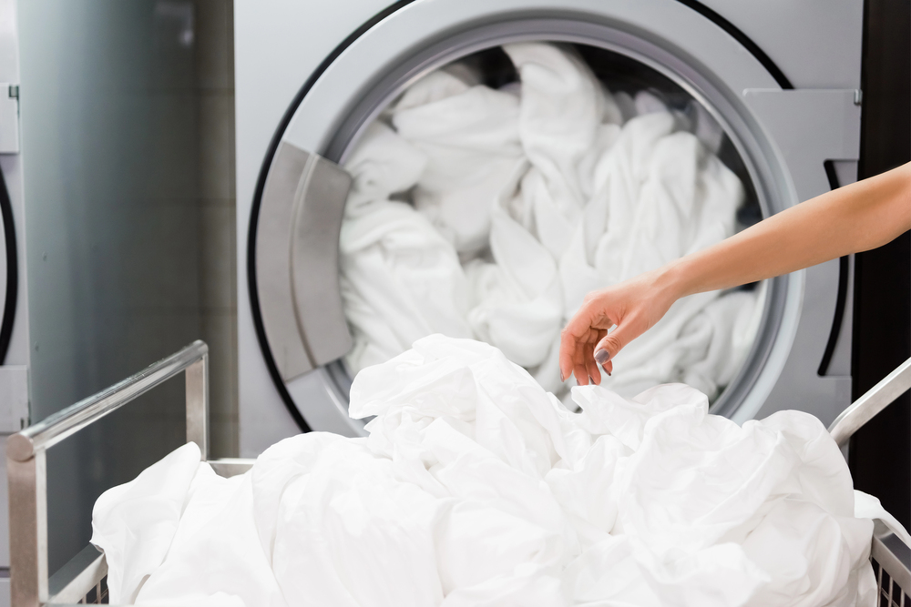 15 Tips to Reduce Dust Mites in Your Home