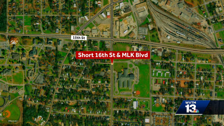 Tuscaloosa woman killed in suspected hit-and-run