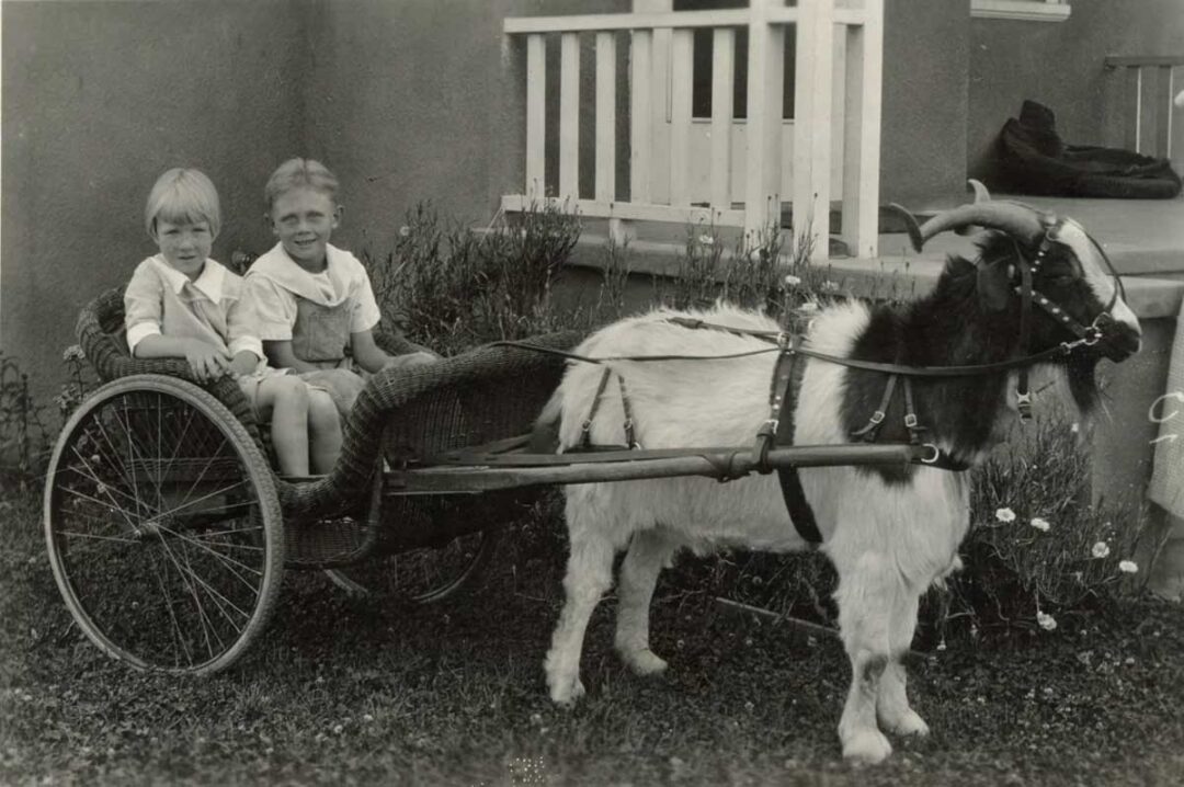 35 Photos That Show the Wild Energy of the 1920s