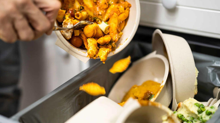 Woman wonders if she overreacted after throwing away dinner her family ...