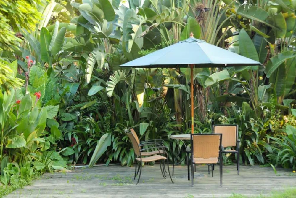 17 Plants Perfect for Backyard Shade Gardens