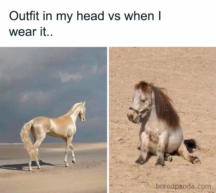 39 Funny And Relatable Memes That Make The Internet A Better Place