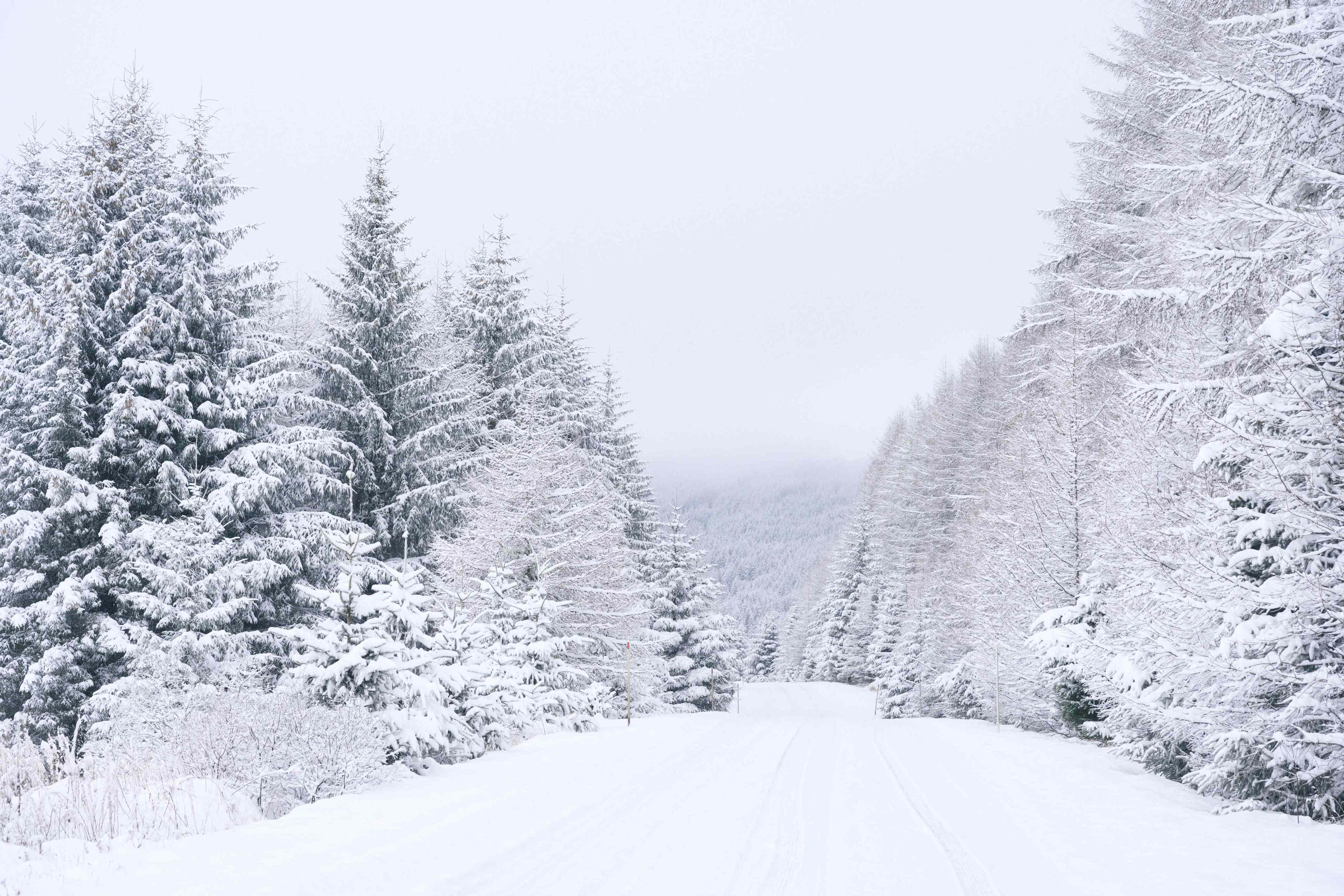 Farmers' Almanac Predicts a 'Winter Wonderland'—These Regions Will Get ...