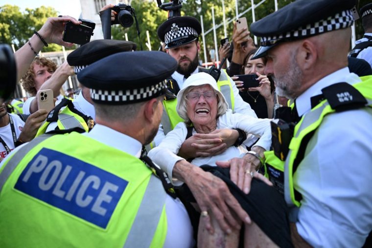Pro Palestine Action protest leads to nearly 900 arrests