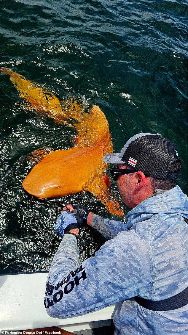 Rare orange shark with ghostly white eyes captured in first-of-its-kind ...