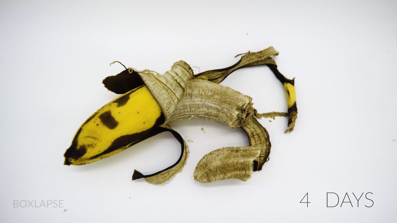 A Banana’s Life in Just Seconds!