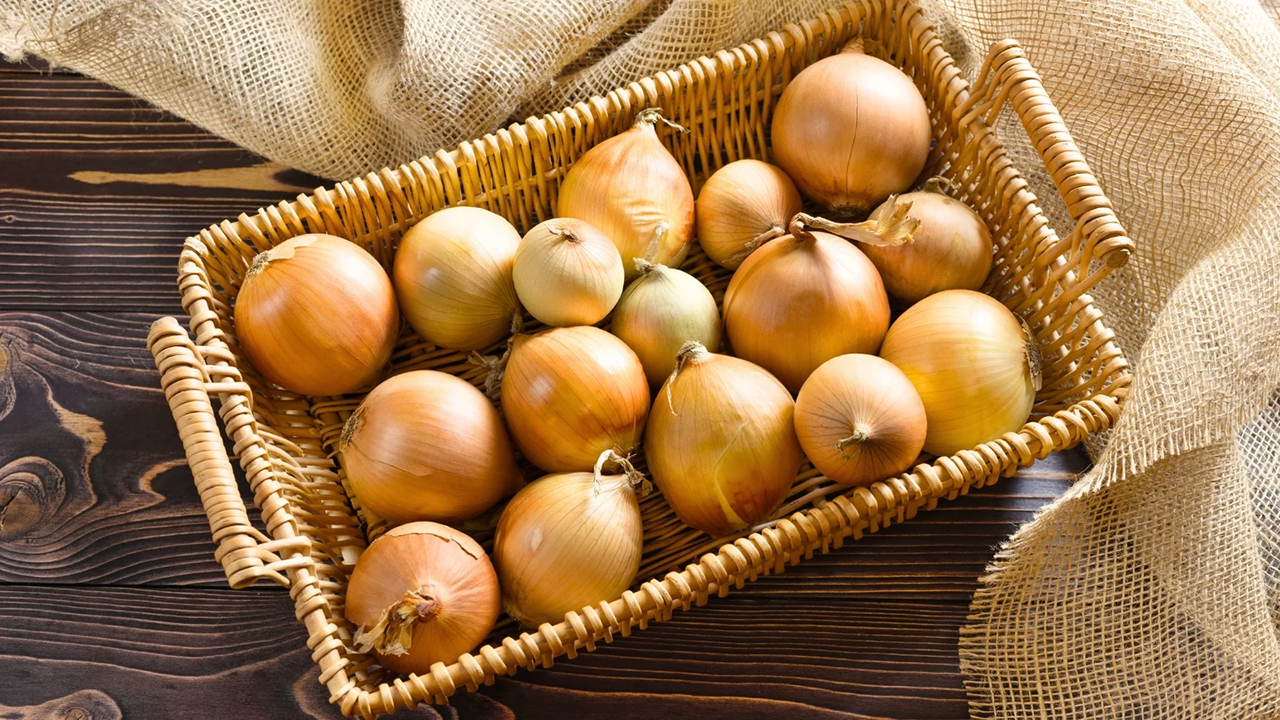 How to Harvest and Store Your Late Summer Crops in September