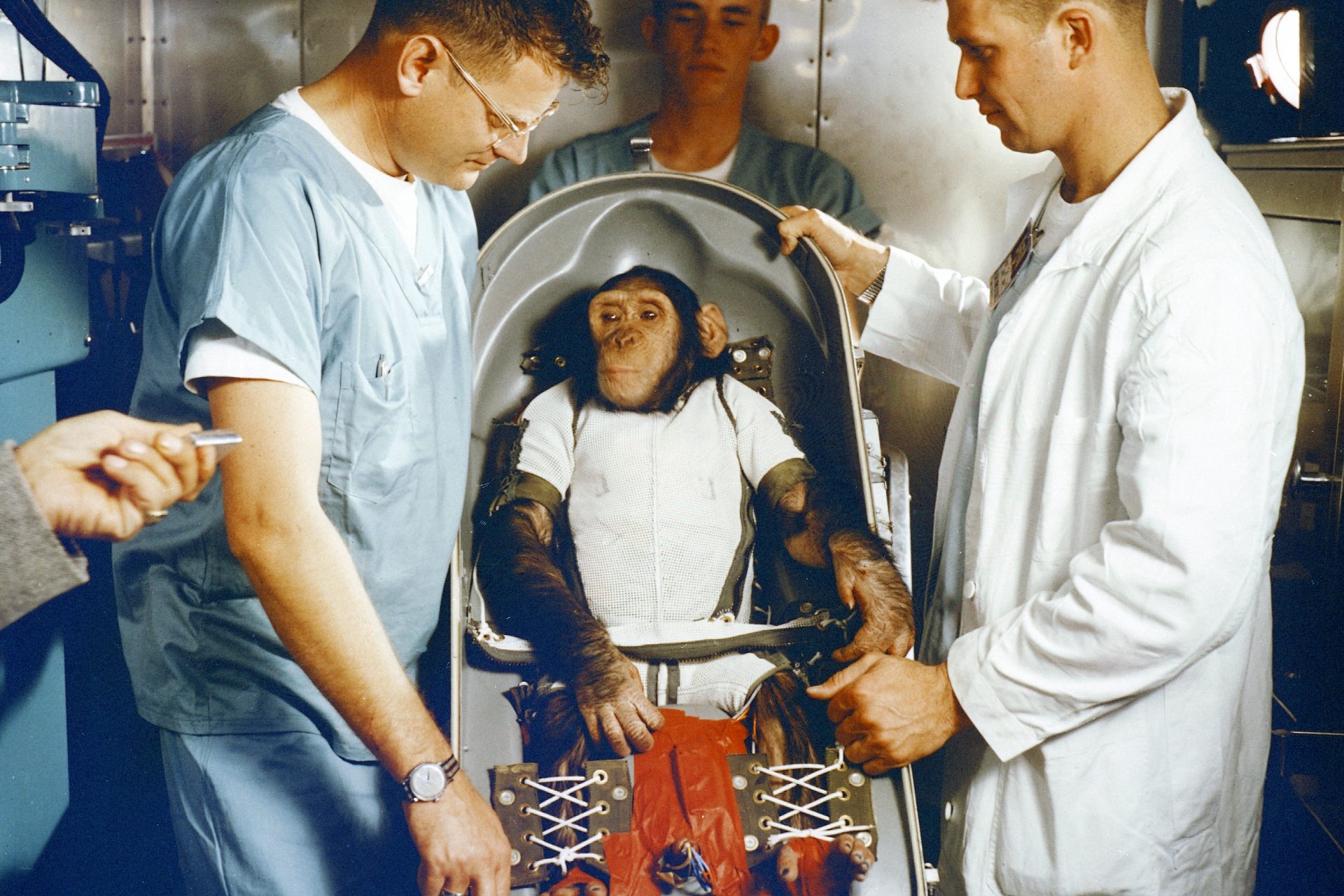 Animals in space: The unsung heroes of cosmic exploration