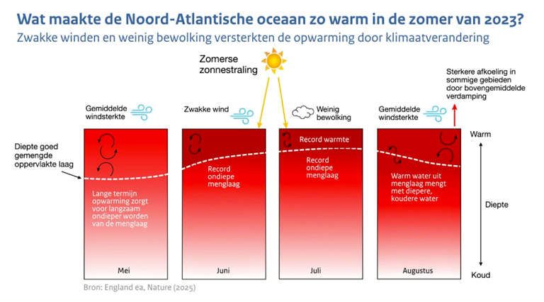 Exotische soorten rukken op door mariene hittegolven
